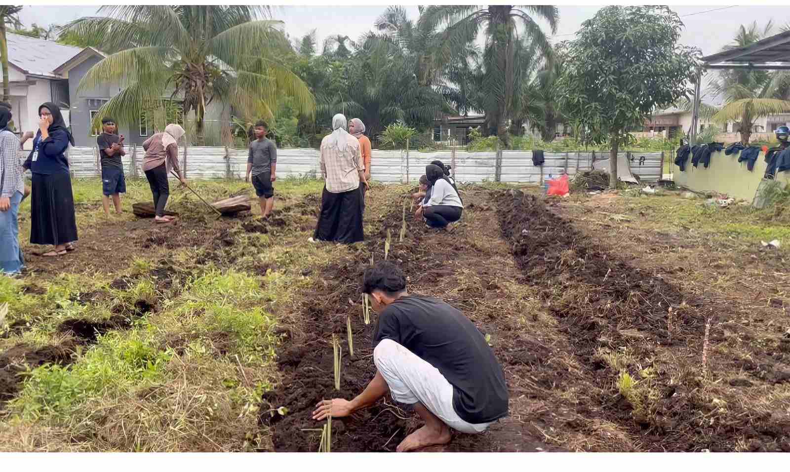 Peduli Lingkungan dan Kesehatan, Mahasiswa KKN UMRI Kelompok 11 Memanfaatkan Lahan Kosong Untuk ...